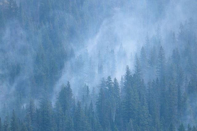 Situation sur les feux de forêt — Complexe d'incendies de Jasper - Parc ...